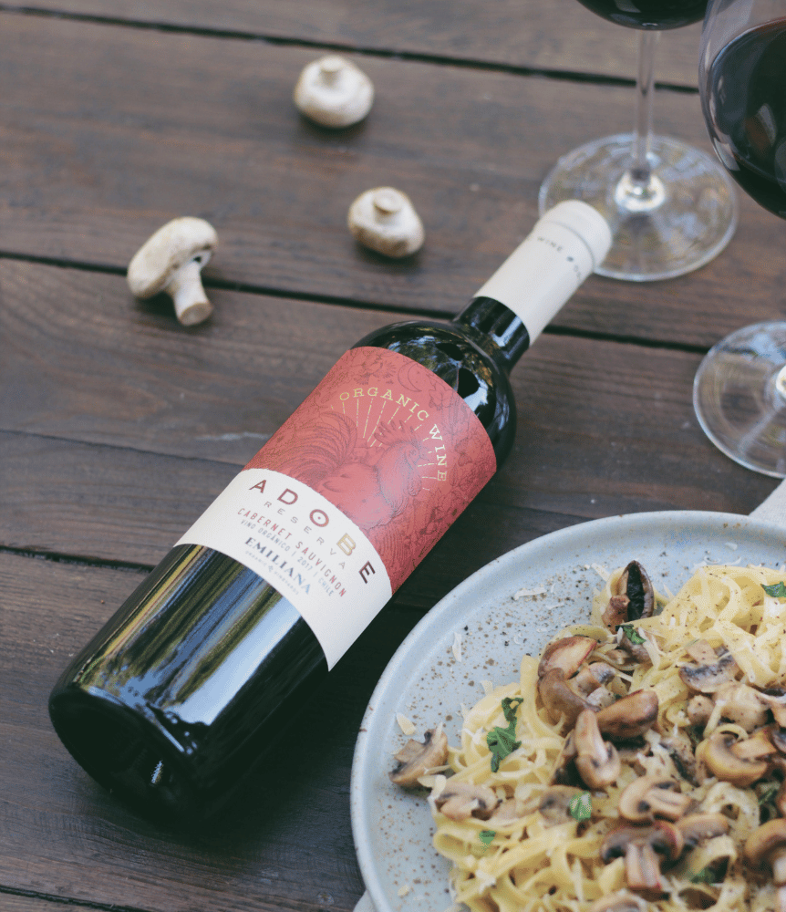 Emiliana Adobe Cabernet Sauvignon 2023 – Wine To Style Singapore Pte. Ltd.